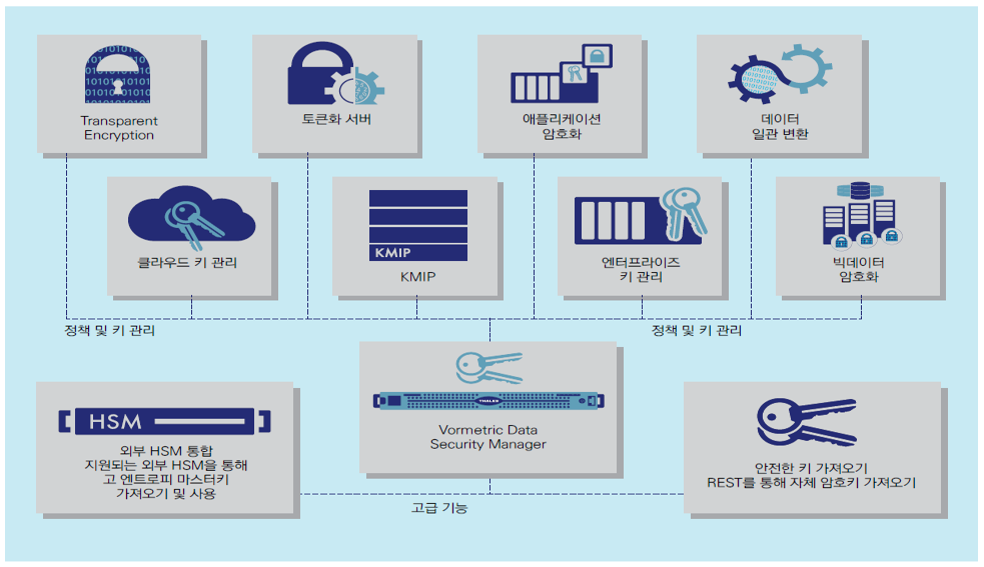 Vormetric Data Security Manager - biztov